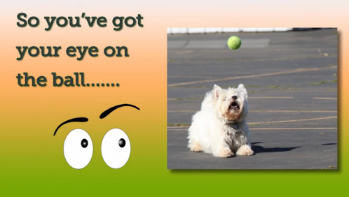 motion_graphics_poster_image – Digital Elf Studios